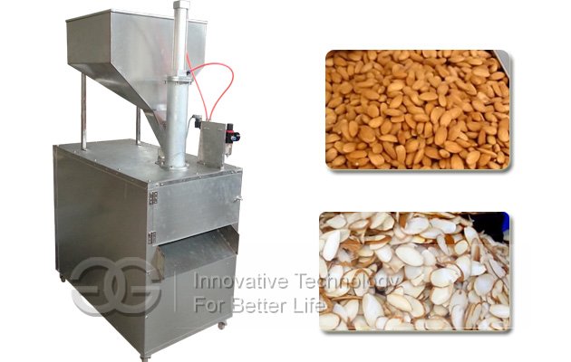 0.3-2mm Badam Nut Slicing Machine GGS-100 For Sale
